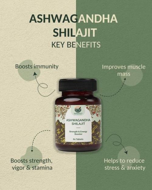 Ayurvedic Ashwagandha Shilajit Tablets | Buy Ashwagandha Shilajit ...